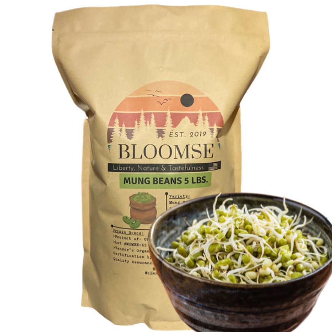 BULK Organic Mung Beans Sprouting Seeds Premium Quality, Free Shipping ...
