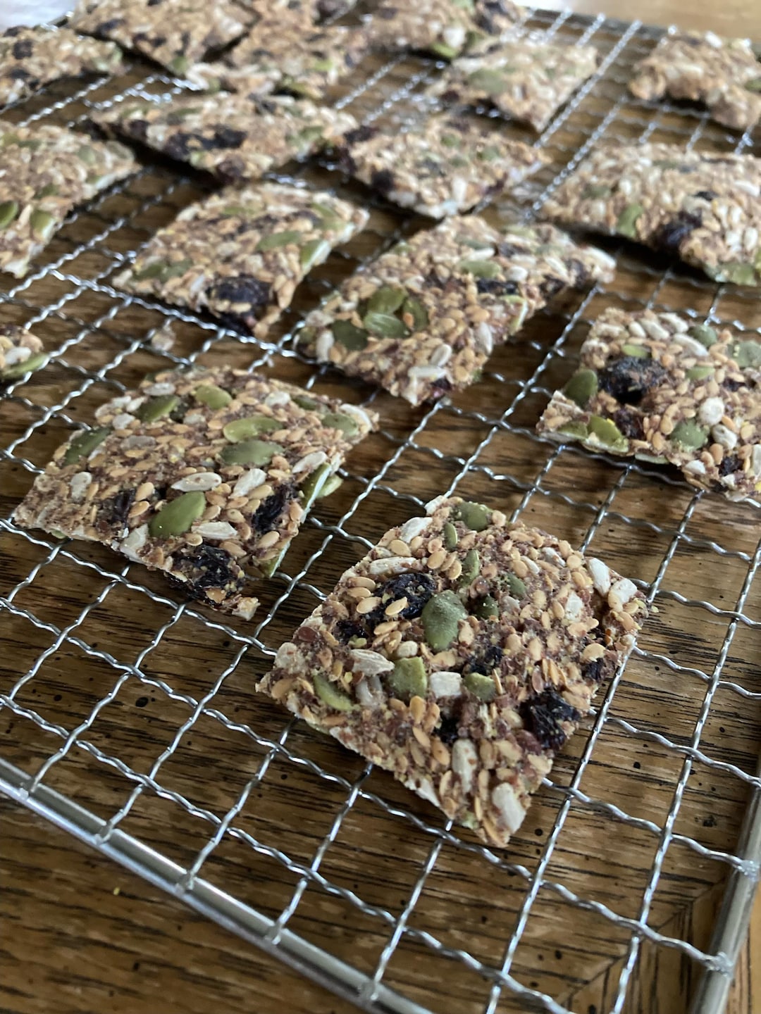 Raw Multi-seed Crackers, Enzyme Rich, Oil Free, Vegan, Paleo, Made With ...