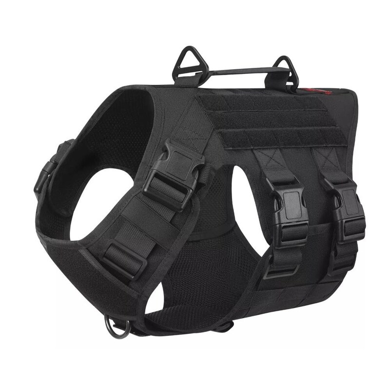 Bullet Dog Collar - Etsy