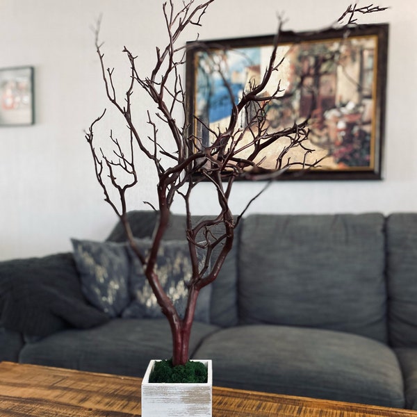 Brown Tree Branches - Etsy