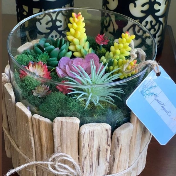 Driftwood Centerpiece - Etsy