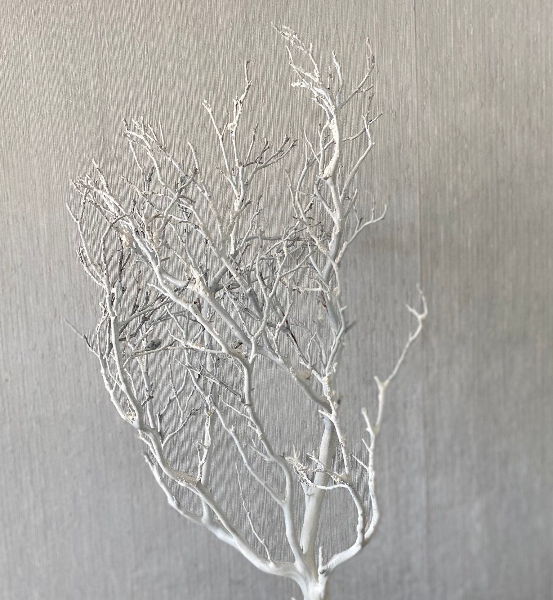 Tabletop Tree Centerpiece,white Tree Branches on Wood Box ,unique Table ...