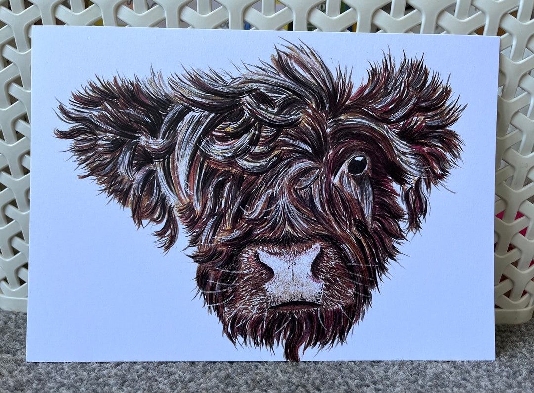 Hattie the Highland Cow Print of Original Pencil Drawing - Etsy