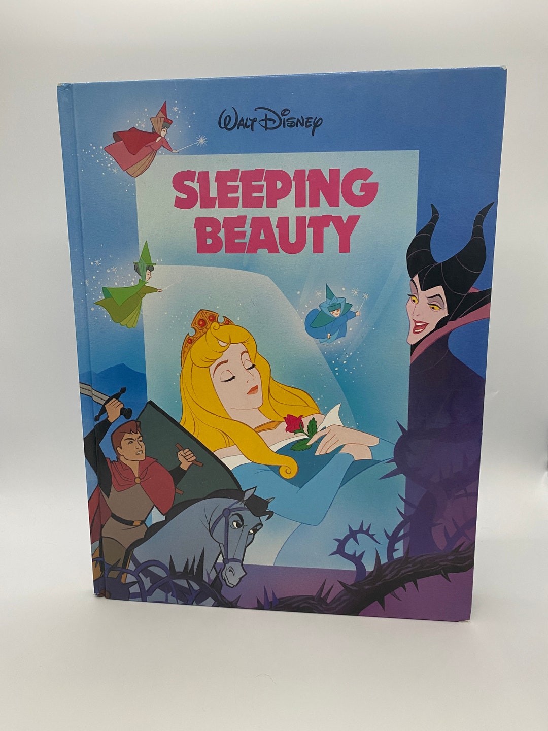 Twin Books the Disney Animated Series Sleeping Beauty Book - Etsy