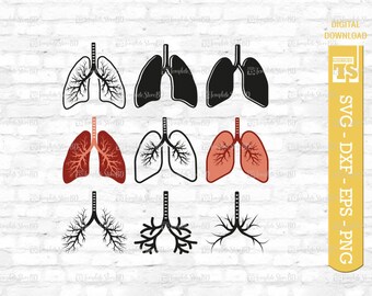 Human Lung Svg, Lungs Svg, Respiratory System Svg, Pulmonology Svg ...