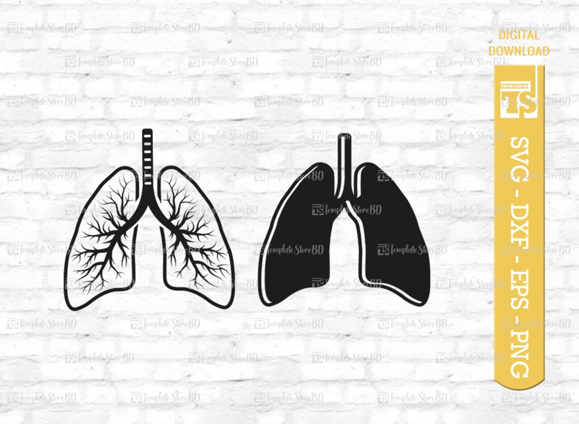 Human Lung Svg, Lungs Svg, Respiratory System Svg, Pulmonology Svg ...