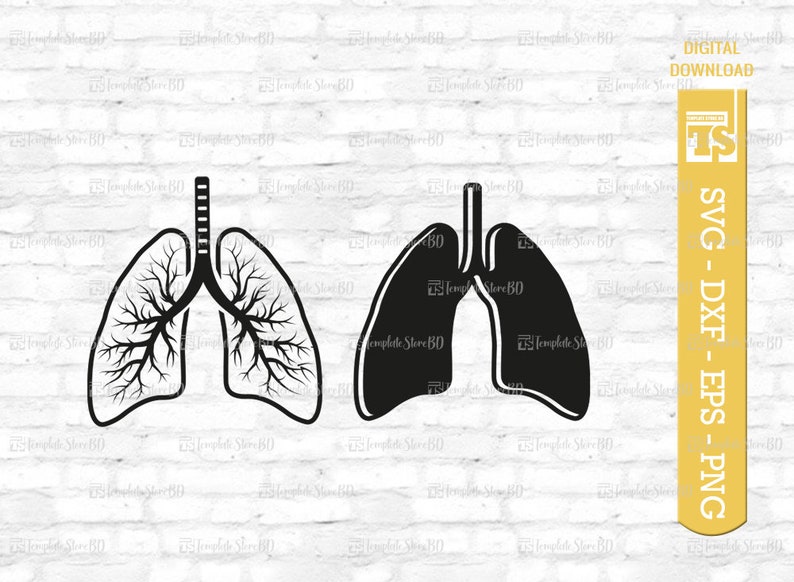 Human Lung Svg, Lungs Svg, Respiratory System Svg, Pulmonology Svg ...