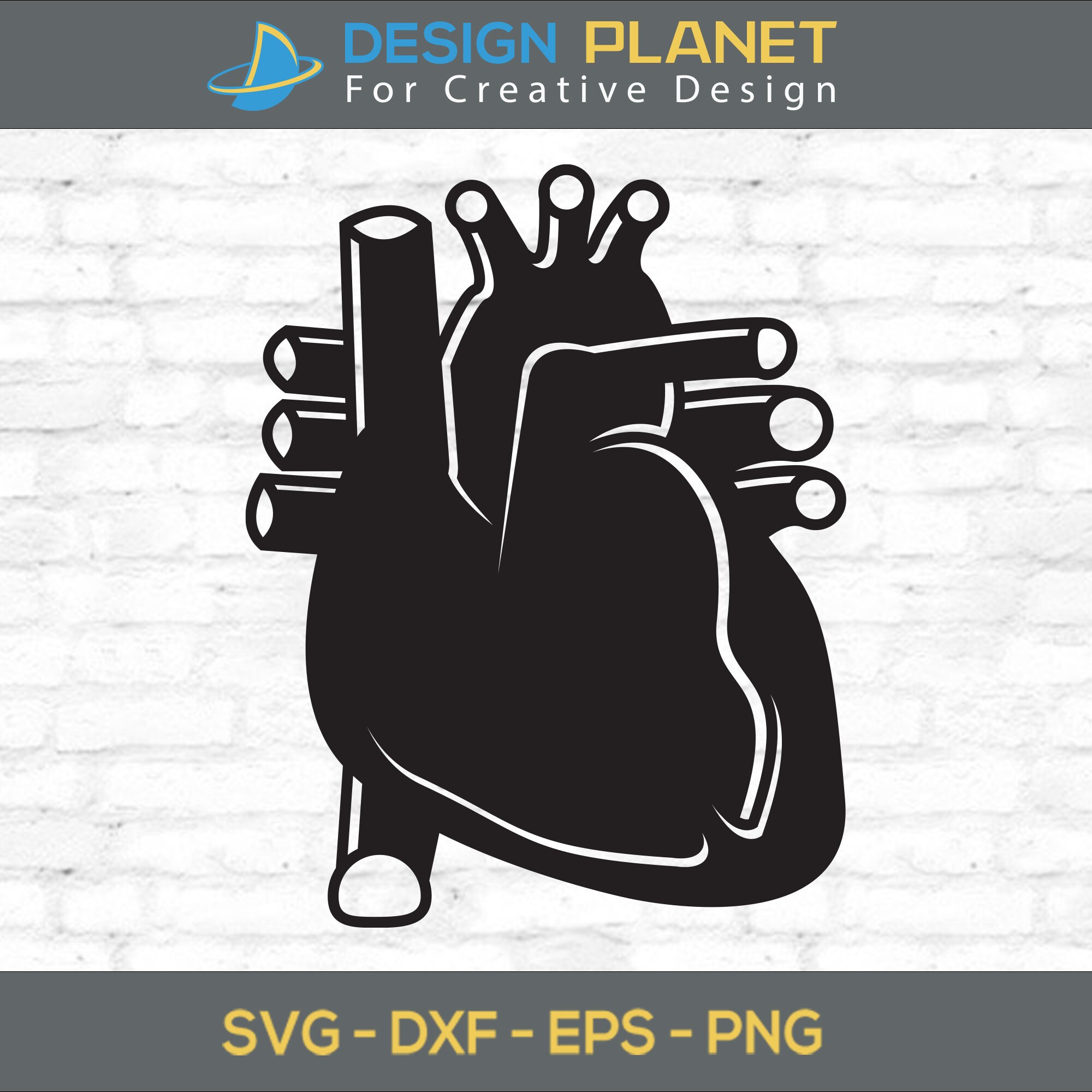 Anatomical Heart Svg, Heart Svg, Human Heart Clip Art Decal, Nurse Life ...