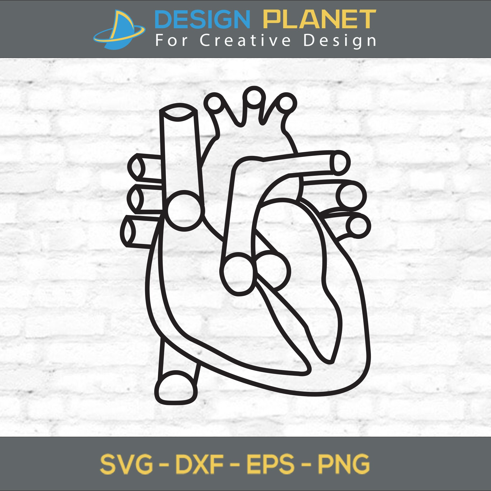 Anatomical Heart Svg, Heart Svg, Human Heart Clip Art Decal, Nurse Life ...