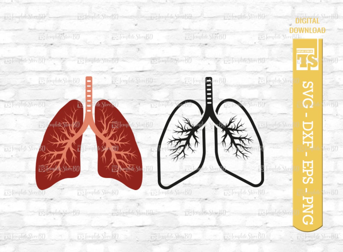 Human Lung Svg, Lungs Svg, Respiratory System Svg, Pulmonology Svg ...