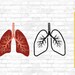 Human Lung Svg, Lungs Svg, Respiratory System Svg, Pulmonology Svg ...