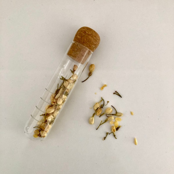 Tea Infuser - Etsy UK