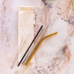 Eco-friendly Stainless Steel Straw Set + Bonus Cleaner - Etsy
