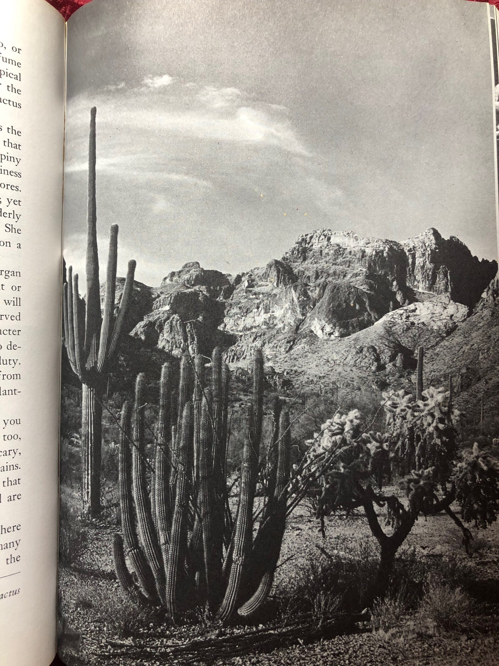 The National Parks, A Book by Freeman Tilden, Monuments, Historic Sites ...