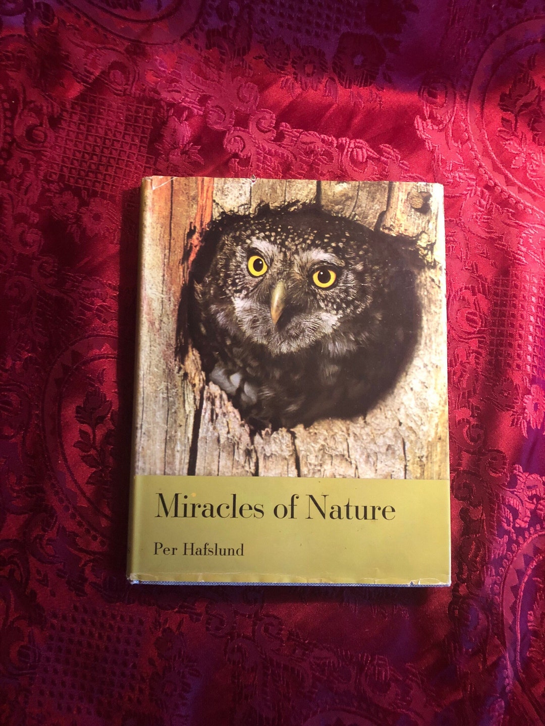 Miracles of Nature, A Book by per Hafslund, Astounding True Tales of ...