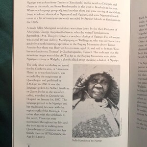 Moth Hunters of the Australian Capital Territory, Book by Josephine ...