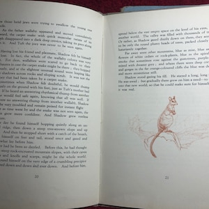 Pair of Children’s Books, Both Written by Leslie Rees, 1940’s, Shy the ...