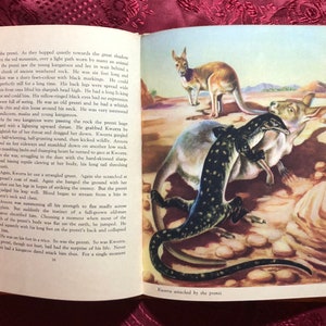 The Story of Aroora the Red Kangaroo, A Book by Leslie Rees, Australian ...