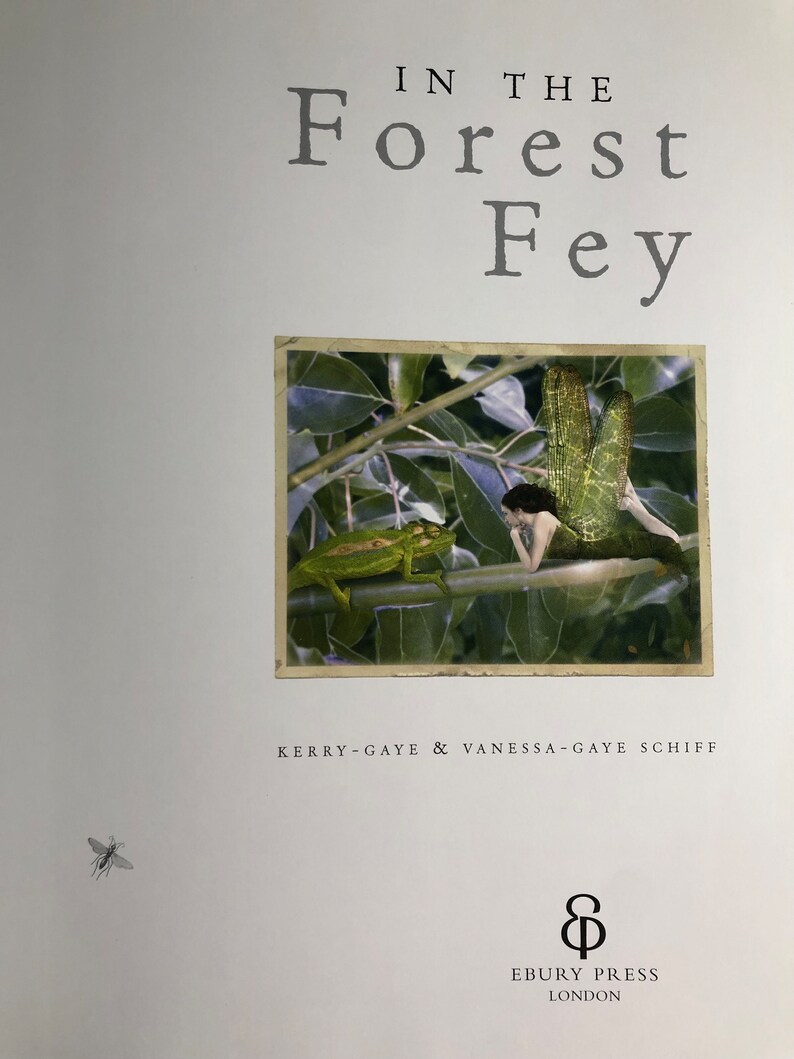 In the Forest Fey, A Book by Vanessa-gaye & Kerry-gaye Schiff, Discover ...