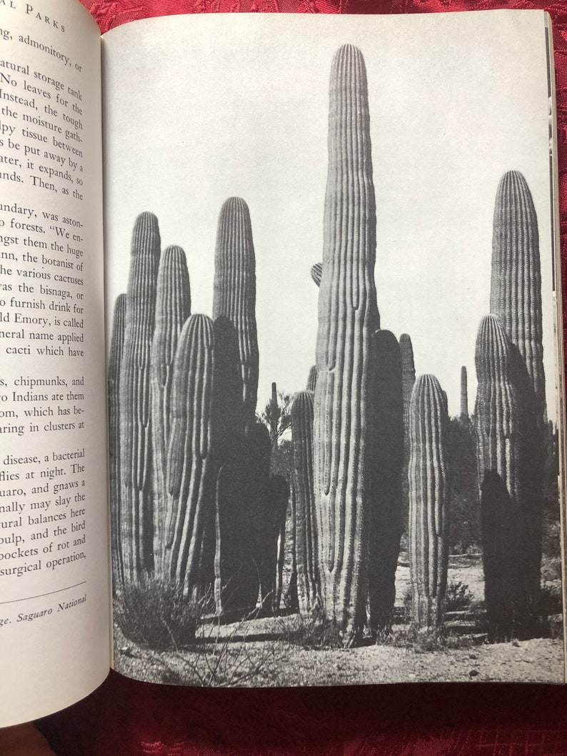 The National Parks, A Book by Freeman Tilden, Monuments, Historic Sites ...