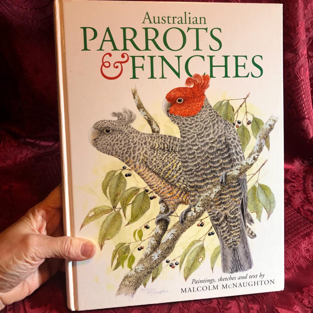 Australian Parrots & Finches, Paintings, Sketches and Text in a Book by ...