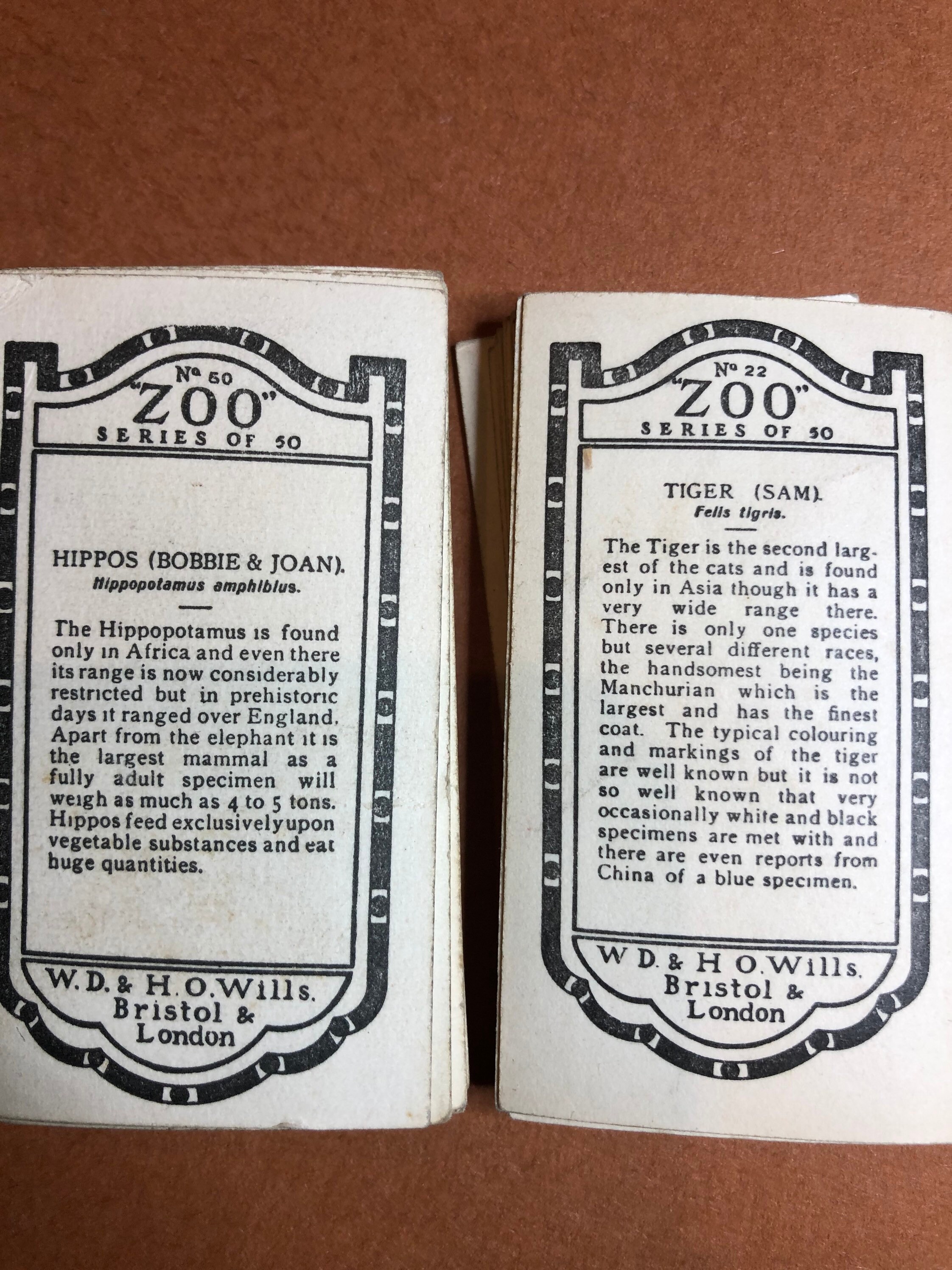 Rare Complete Set of Zoo Animal Cigarette Cards - Etsy