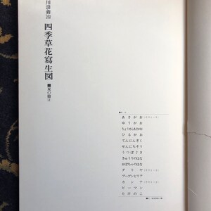 Rare "binobi" Publishing 1977 - Super Sized Japanese Art Book, Flowers ...