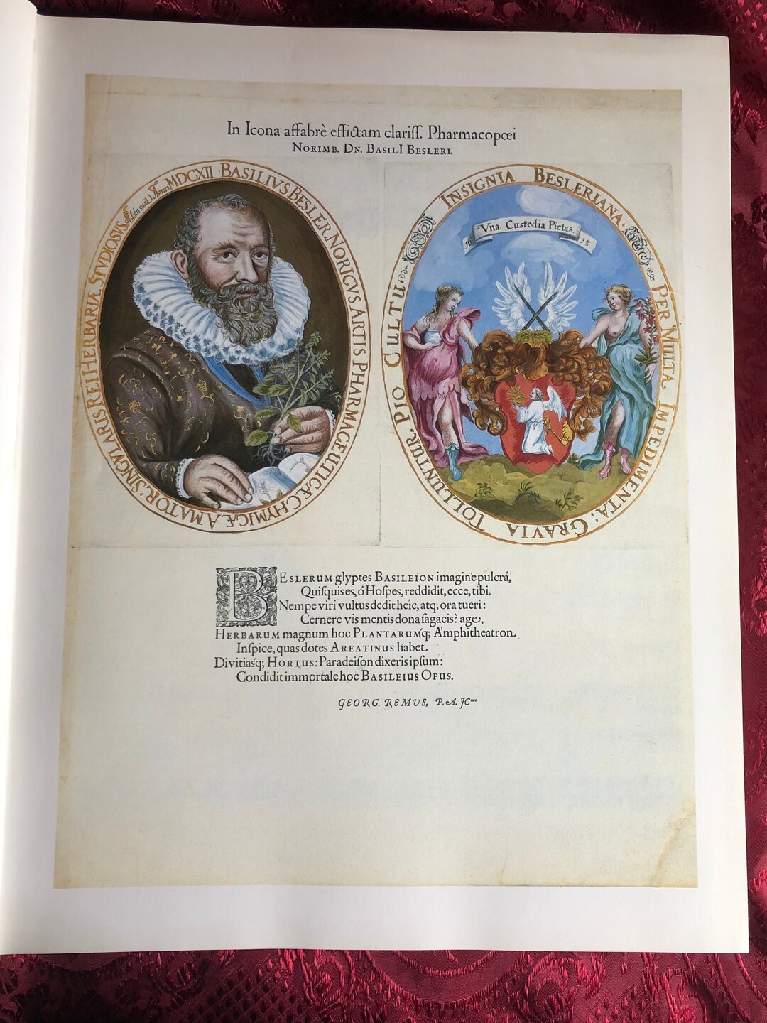 The Besler Florilegium, Plants of the Four Seasons, Rare Botanical ...