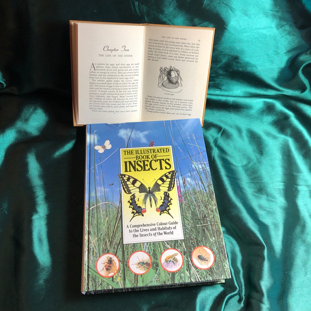 The Illustrated Book of Insects, Plus the True Book About Spiders by T ...