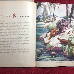 Pair of Children’s Books, Both Written by Leslie Rees, 1940’s, Shy the ...