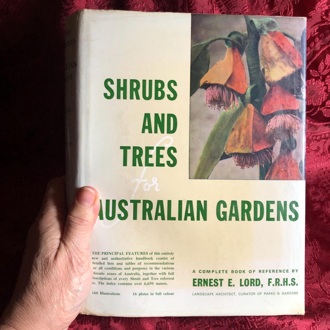 Shrubs and Trees for Australian Gardens, A Complete Book of Reference ...