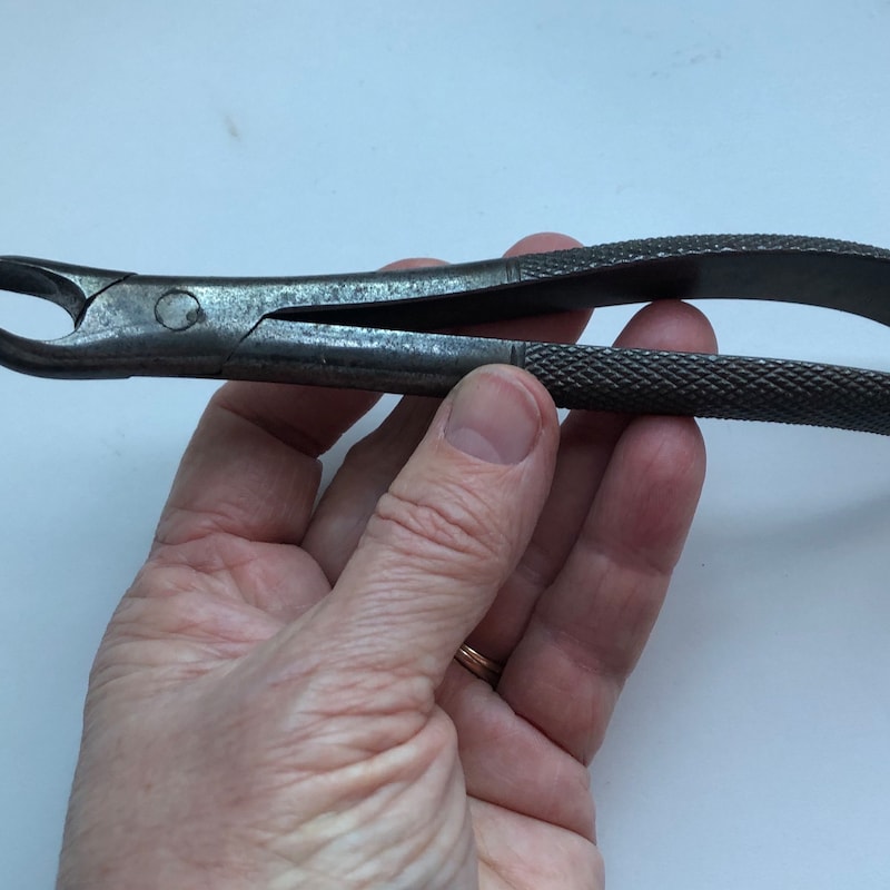 Antique Forceps - Etsy