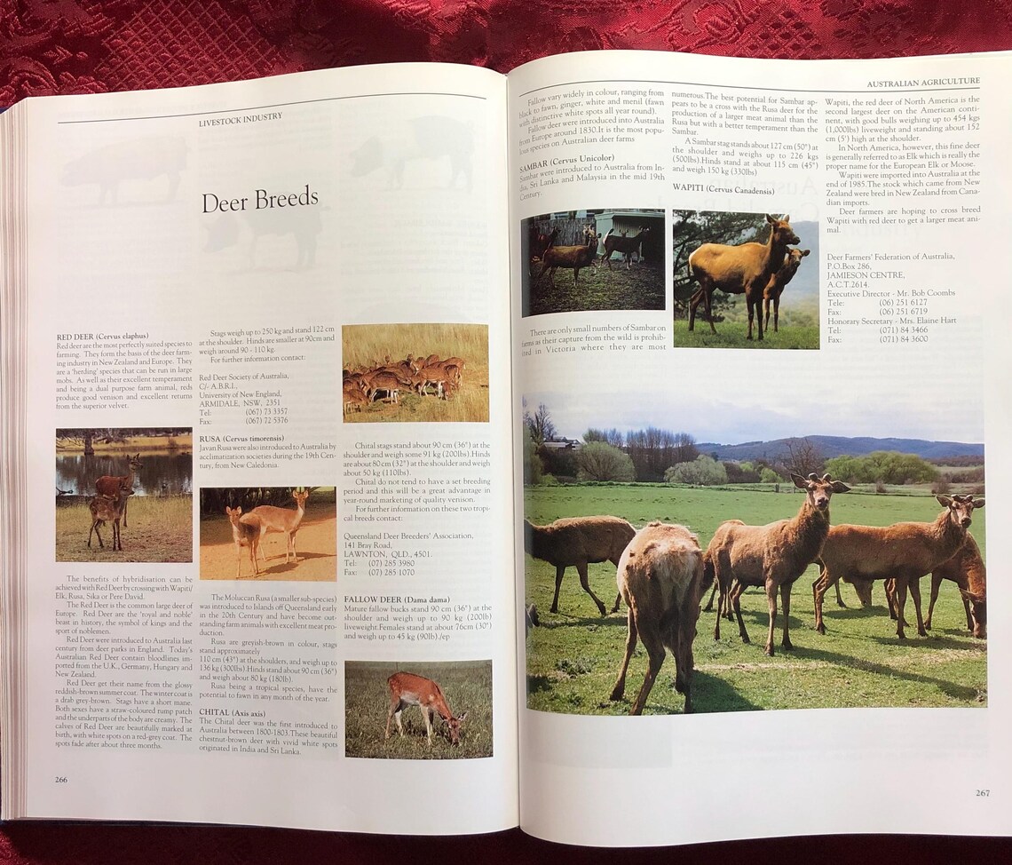 Australian Agriculture the Complete Reference on Rural Industry ...