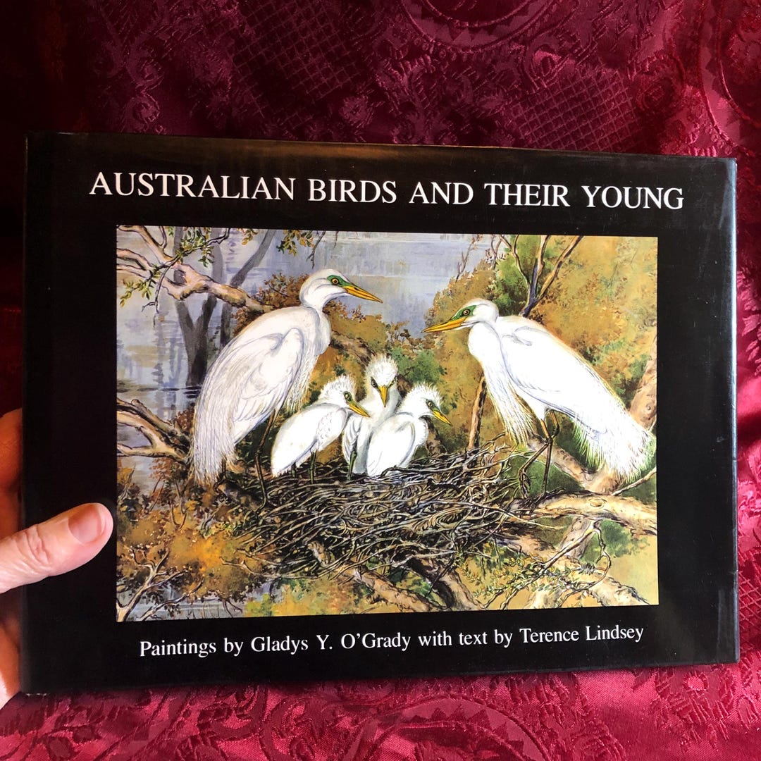 Australian Birds and Their Young, A Book by Terence Lindsey With ...