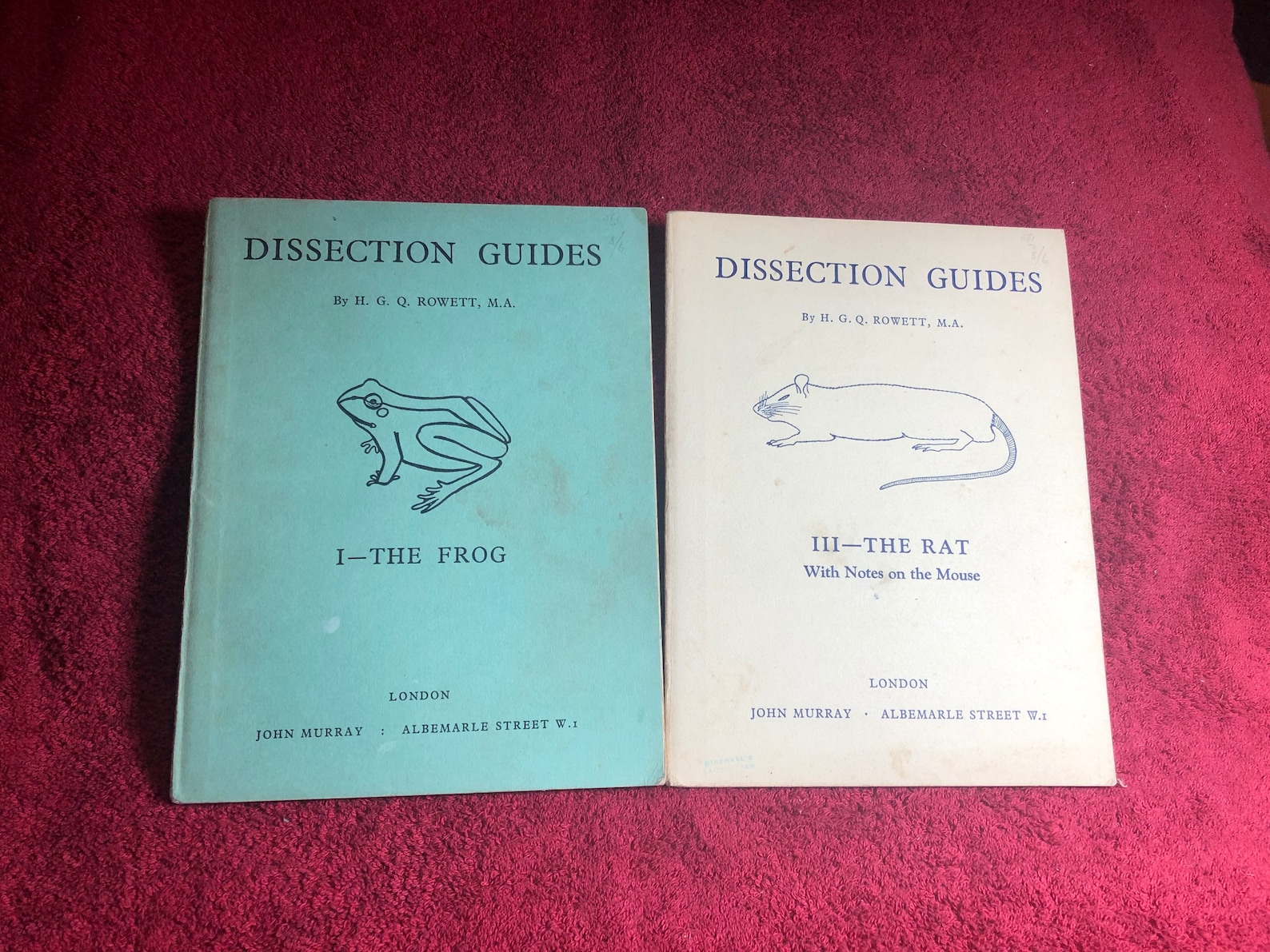 Frog dissection guide - forkidslopers