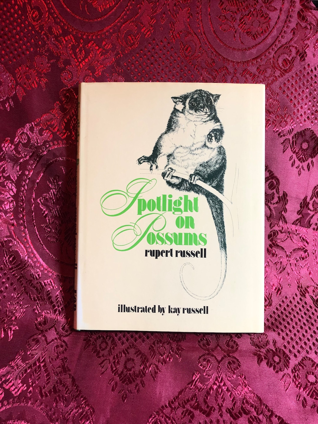 Spotlight on Possums, A Book by Rupert Russell, Australian Native ...