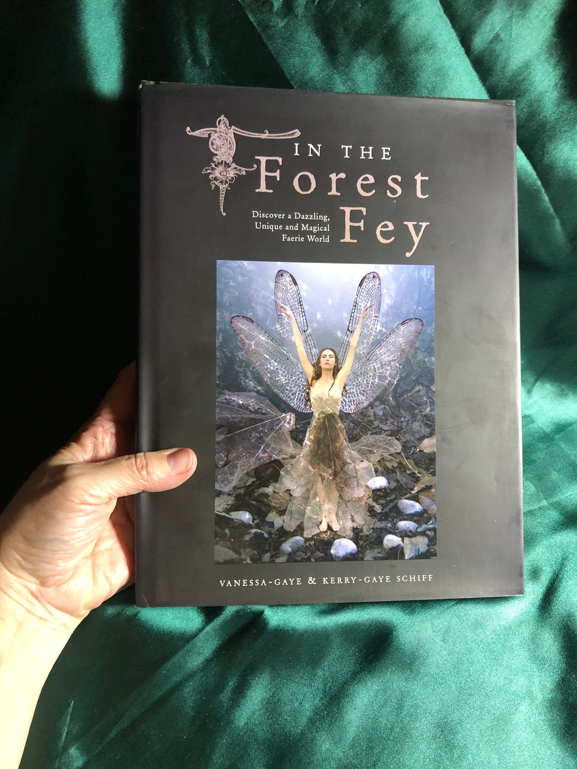 In the Forest Fey, A Book by Vanessa-gaye & Kerry-gaye Schiff, Discover ...
