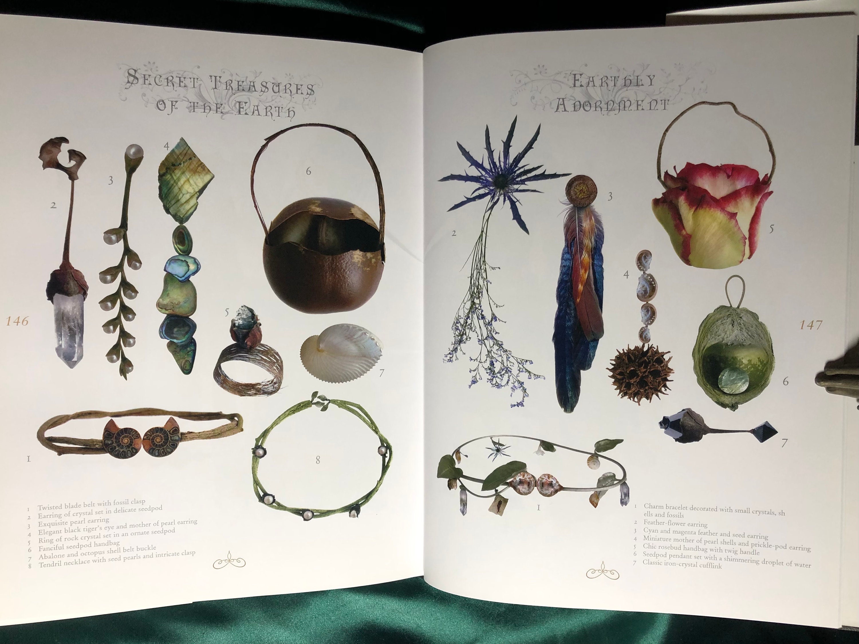 In the Forest Fey, A Book by Vanessa-gaye & Kerry-gaye Schiff, Discover ...