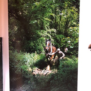 The Lost Gardens of Heligan, A Book by Tim Smit, Signed Edition ...