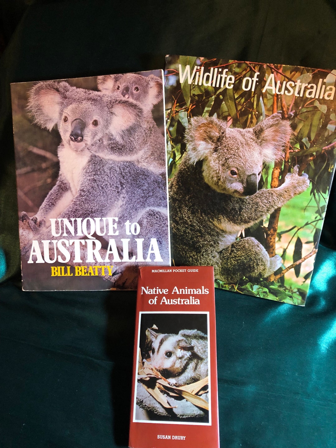 Native Animals of Australia, Unique to Australia by Bill Beatty, Plus ...