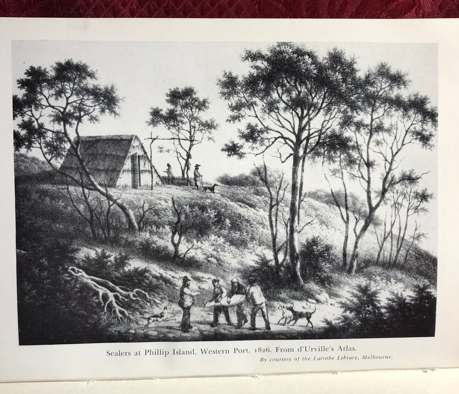 The Western Port Settlement and Its Leading Personalities, Scarce Book ...