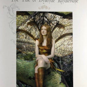 In the Forest Fey, A Book by Vanessa-gaye & Kerry-gaye Schiff, Discover ...