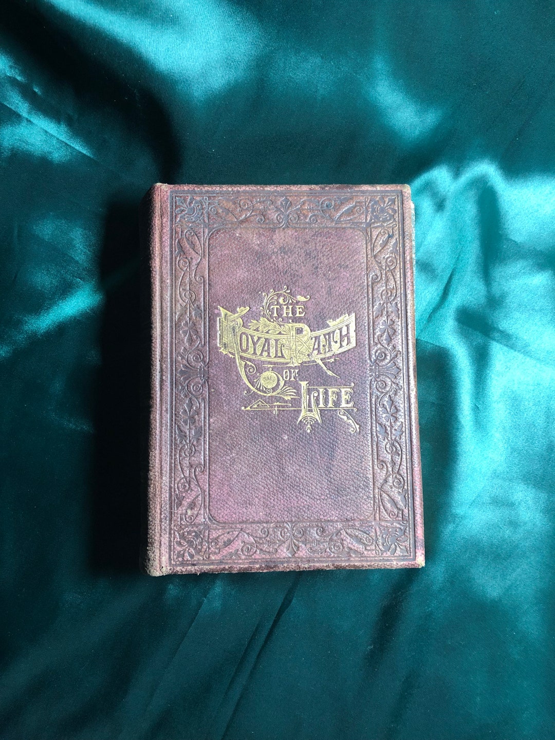 The Royal Path of Life, an Antique Book by T.L. Haines, Aims and Aids ...