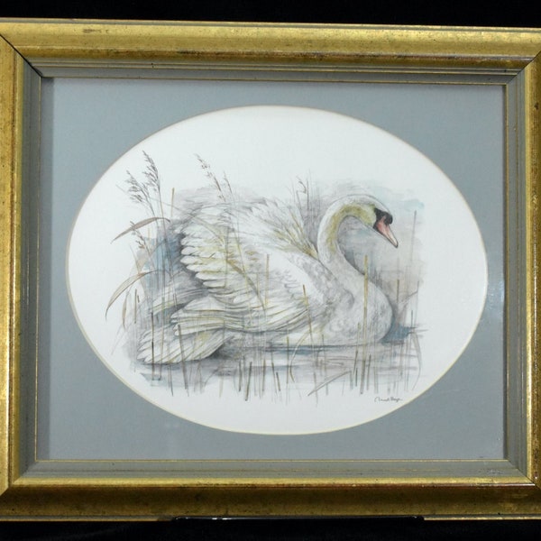 Swan Drawing - Etsy