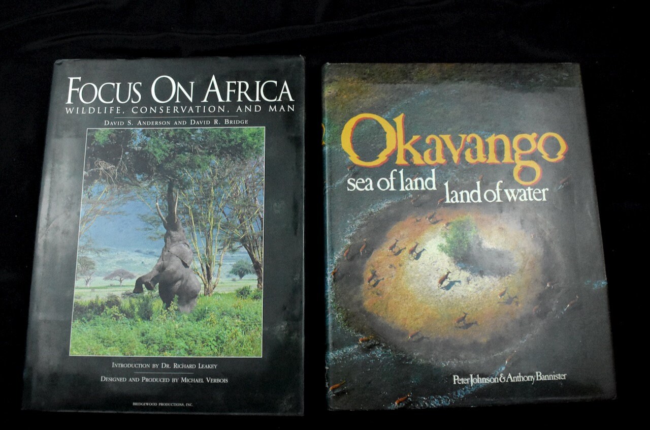 Animal Book Collection Animals From Africa | Etsy