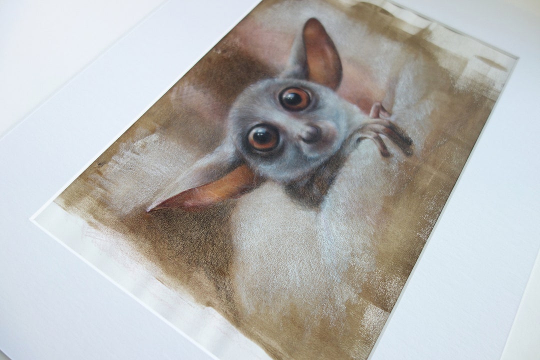 Bush Baby Original Art, Drawing, Hand Made, Cute Art - Etsy