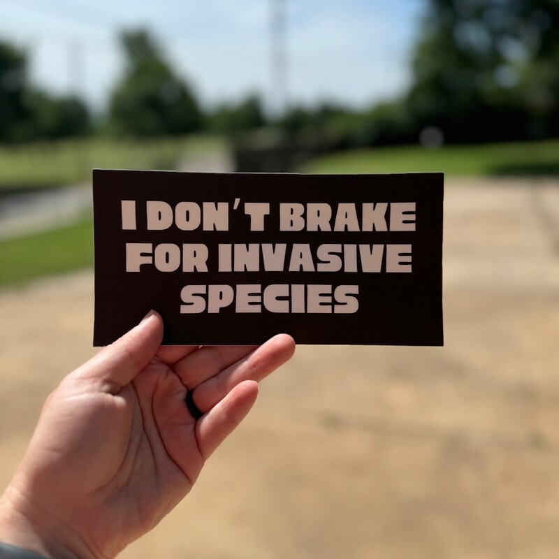 Environmental Car Stickers - Etsy