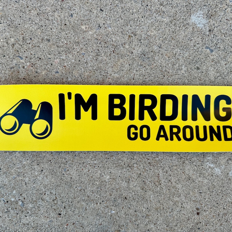 Go Birds Car Window Decal - Etsy