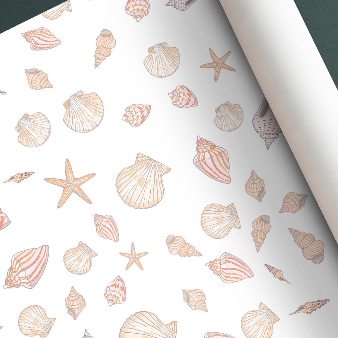 Coastal Shells Wallpaper: Peel and Stick Nursery Wall Decals - Etsy