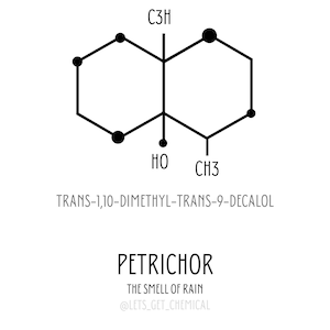 Petrichor Molecule Smell of Rain Art Print Chemistry Print | Etsy